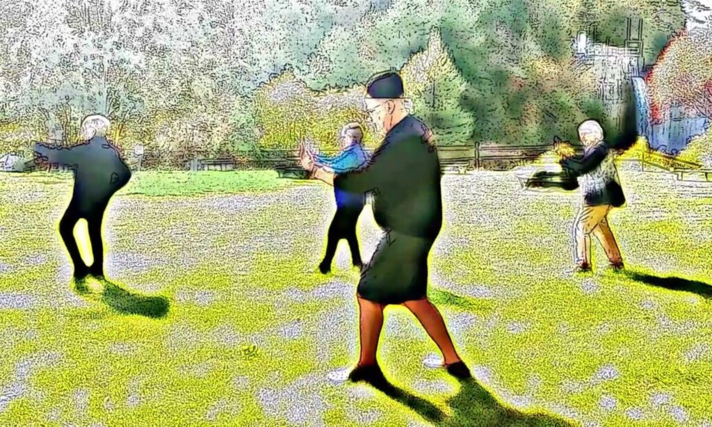 Sun-style T'ai Chi Ch'uan Movements - Sun 73 Tai Chi